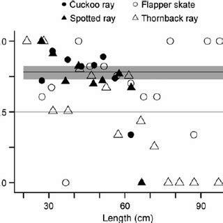 The Proportions At Length For Skate And Ray Species Retained In The Net Download Scientific