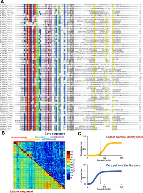 Conservation Of Lanthipeptide Leader Sequence Over Diverse Core