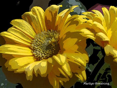 Dawdling In The Garden Serendipity Seeking Intelligent Life On Earth