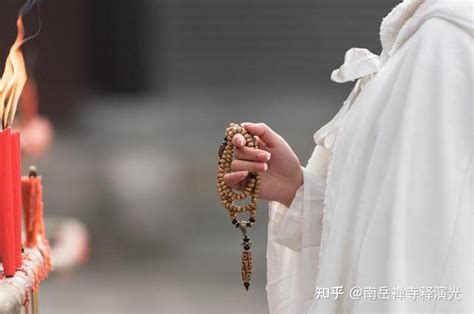 用真心的爱 了世间的缘 知乎