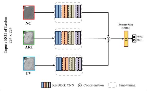 Basic Backbone Network That Was Designed Based On Resnet Download