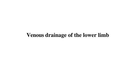 SOLUTION Venous Drainage Of The Lower Limb Studypool