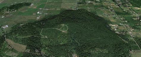 Forest Trails On Mt Peak