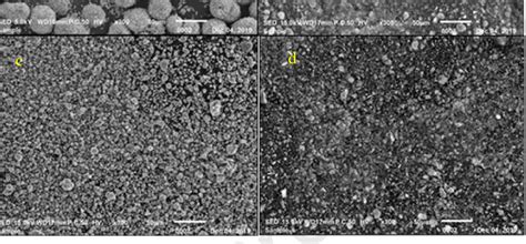 Fig A5 Surface Morphology Of A Cuo B Sio 2 C Tio 2 And D