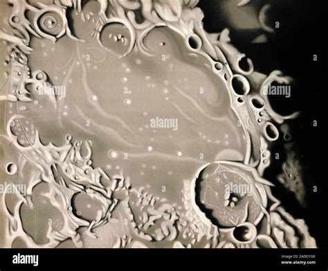 Mare Humorum On The Moon 19th Century Illustration The Mare Humorum