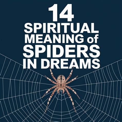 14 Spiritual Meanings Of Spiders In Dreams The Web Of Life
