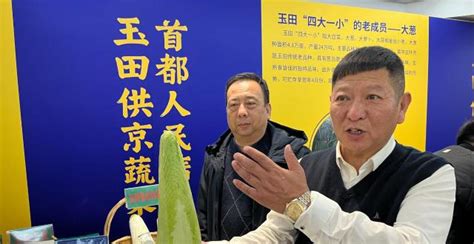 河北净菜·“玉田供京蔬菜”推介会举办腾讯新闻