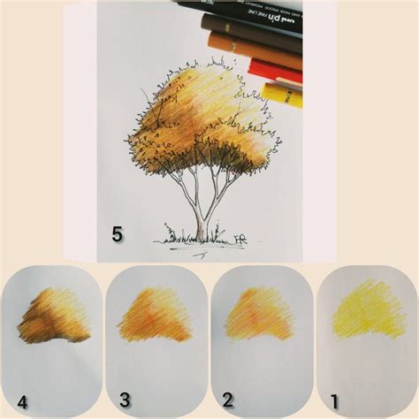 Colour Pencil Art Landscapes Colour Pencil Drawing Tree Pencil Sketch