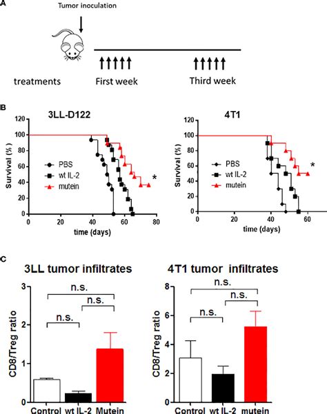Figure From The Antitumor Effect Induced By An IL No Alpha Mutein Depends On Changes In