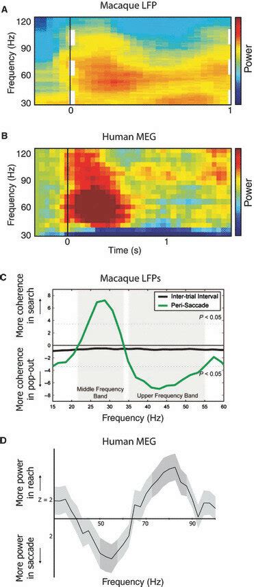 neural synchronization as a means of communication in the download