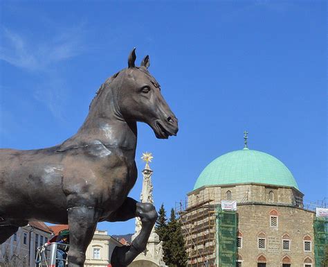 Az Igazság Az új Lóról Pecsma Hu