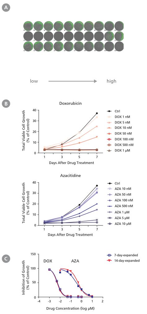 In Vitro Drug Screening With The Stemspan™ Leukemic Cell Culture Kit