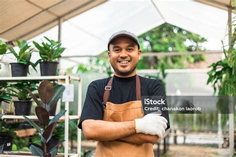 장갑과 앞치마를 입은 행복한 정원사 남자는 온실에 꽃을 심습니다 뒷마당에서 정원 가꾸기를 하는 꽃집 남자 꽃 관리 수확 흙이나 흙이있는 냄비에 심기 계절에 대한 스톡 사진