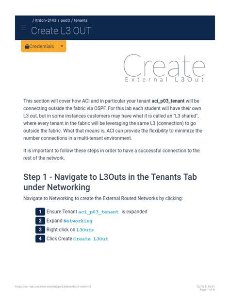 Cisco Aci Create L3 Out Pdf Internet Protocols Internet