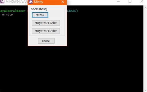 Mintty Cygwin Terminal Emulator