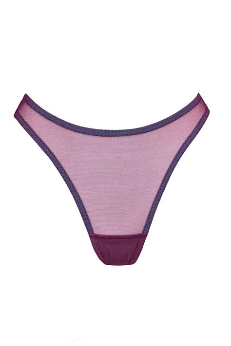 Parabola Plum High Waisted Thongs Yesundress
