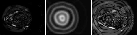 Dynamic Luminance Animations Left Standard Dynamic Luminance Sdl