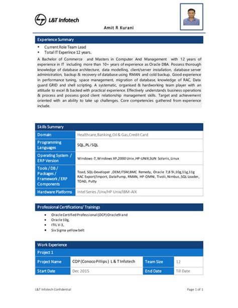 Lt Infotechamitkurani10621681cv Pdf