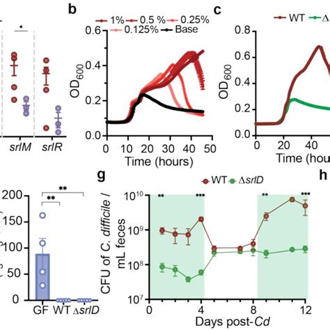 A Putative Sorbitol Utilization Locus Is Responsible For Cd Metabolism Download Scientific