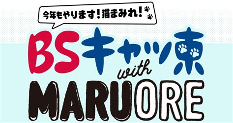 2月22日（水）bsテレ東はbsキャッ東に！今年のbsキャッ東は「猫のこと、ちゃんと考える」｜bsテレ東
