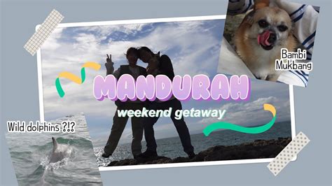 만두라 당일치기 호주 브이로그 퍼스 Mandurah Day Trip Australia Vlog Perth