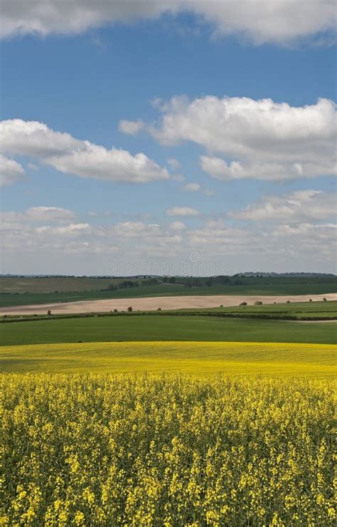 Hampshire Countryside Stock Image Image Of Countryside 14218175