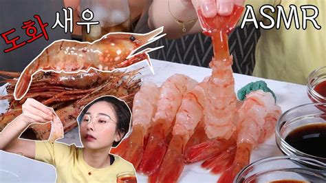 크기 실화😲한국에서 제일 비싼새우 도화새우🦐 먹방 머리버터구이 리얼사운드dokdo Raw Shrimp🦐 Sound