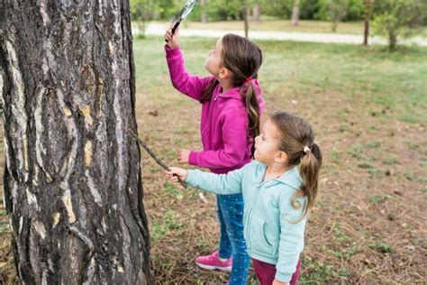 Premium Photo Side View Of Girl Standing On Tree Trunk