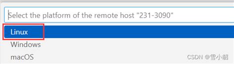 如何使用vs Code远程连接服务器？如何免密登录？vscode Sshvscode远程连接密码 Csdn博客