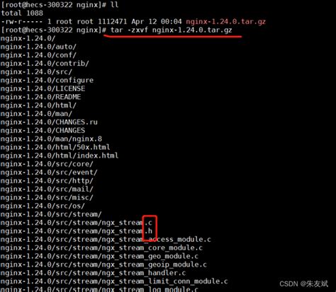 【软件安装】linux系统中安装nginx服务器（ubuntu系统） linux ubuntu 安装nginx csdn博客