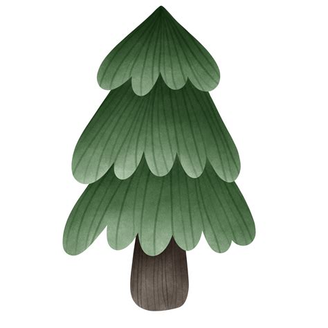 Cute Pine Tree 24750944 Png