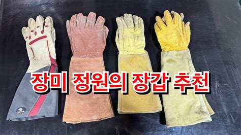 초보 환영 장미정원의 필수 준비물 장미 전용 장갑 추천 Youtube