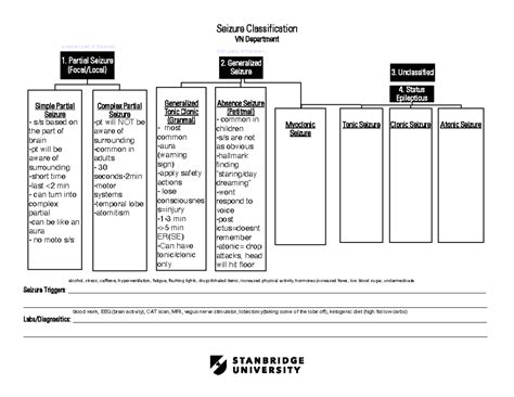 Seizure Classification Chart