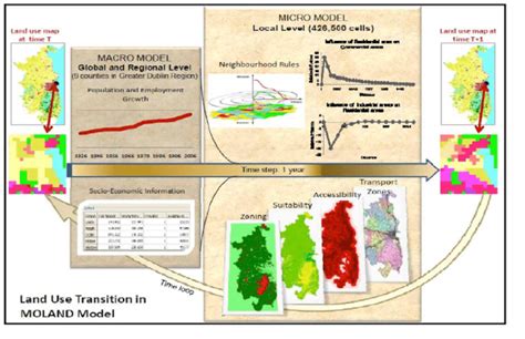 An Example Of The Factors Determining The Spatial Dynamics In Cellular