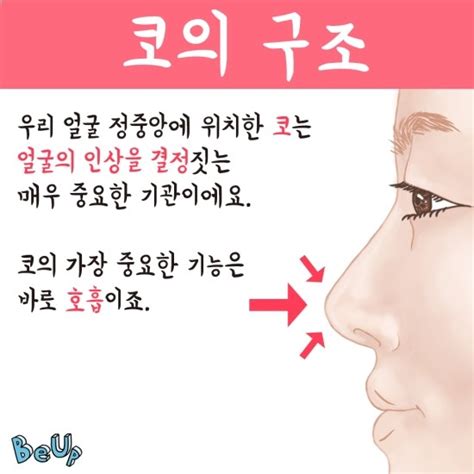웹툰 문형진 원장의 알기 쉬운 코성형 제 1화 코의 구조 네이버 블로그