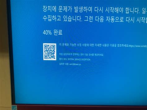 윈도우 11 블루스크린 지식in