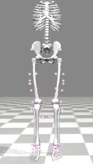 3 Marker Locations Used For Mocap Comparisons Visualized Using