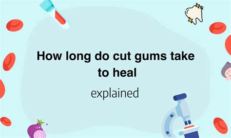 How Long Do Cut Gums Take To Heal