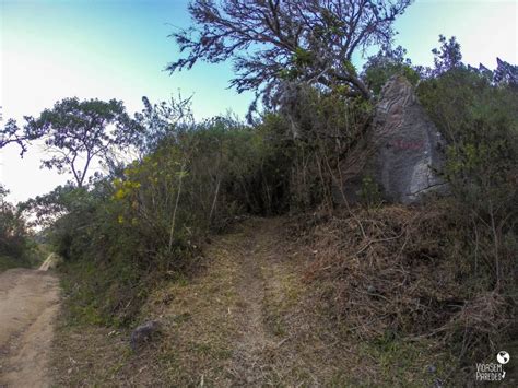 Pico Menor De Nova Friburgo RJ Dicas Para Fazer A Trilha