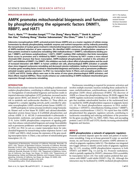 Pdf Ampk Promotes Mitochondrial Biogenesis And Function By