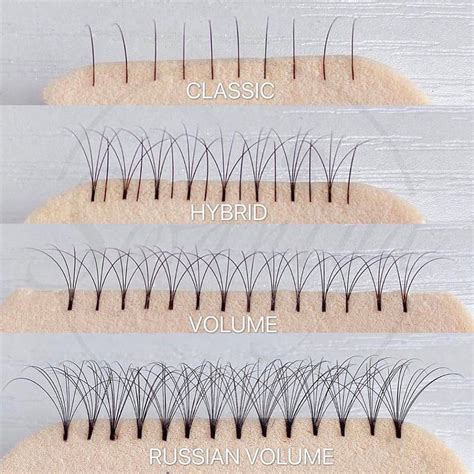 Bellemory Lash Sponge And Mapping Charts Bellemory Store Artofit