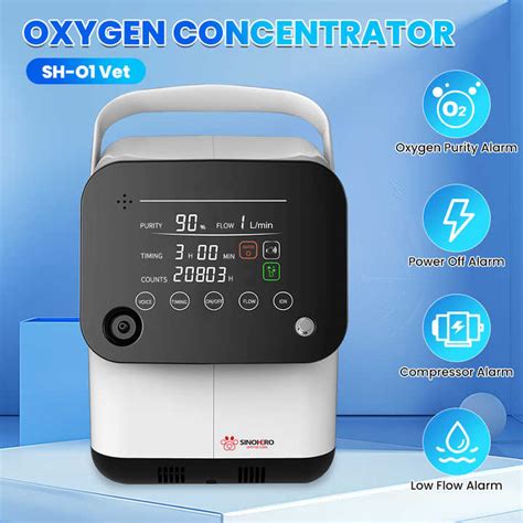 Portable Medical Remote Control Oxygenerator 5l Handle Mini Oxygen