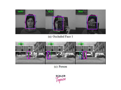 Introduction To Object Tracking Scaler Topics