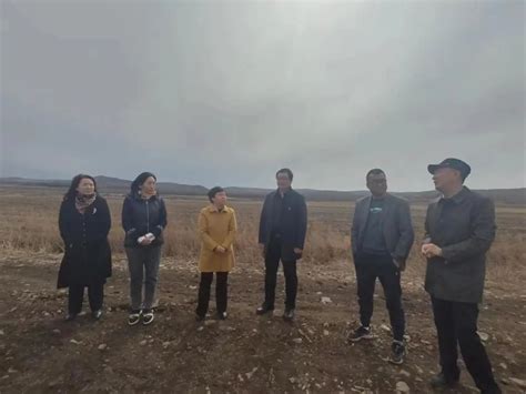 市政协副主席朱丽英深入嫩江市调研黑土地保护工作澎湃号·政务澎湃新闻 The Paper