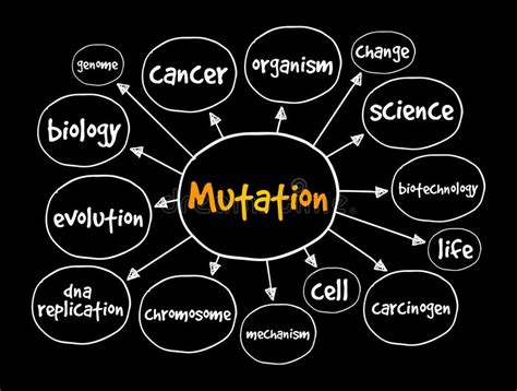 Mutation Mind Map Concept For Presentations And Reports Stock