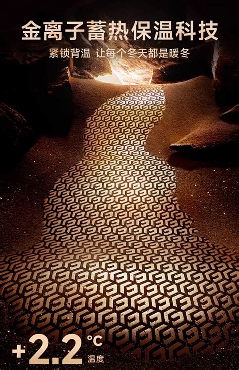 【丁洁大师联名】高梵黑金儿童鹅绒服反季皇室高定系列长款羽绒服 天猫 花瓣网