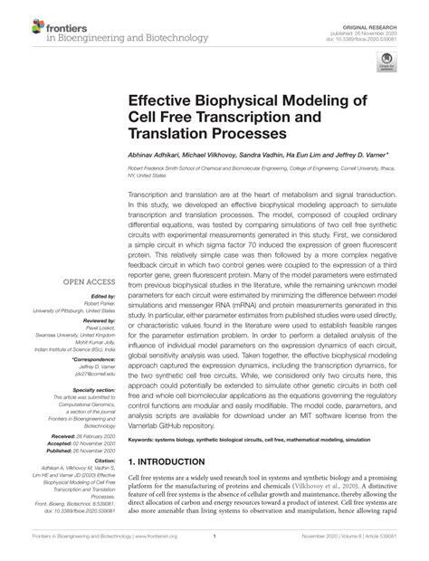 Pdf Effective Biophysical Modeling Of Cell Free Transcription And