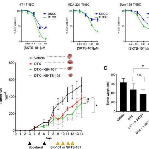 Validation Of The Efficacy Of The Novel Lipid Drug Conjugate In Vitro