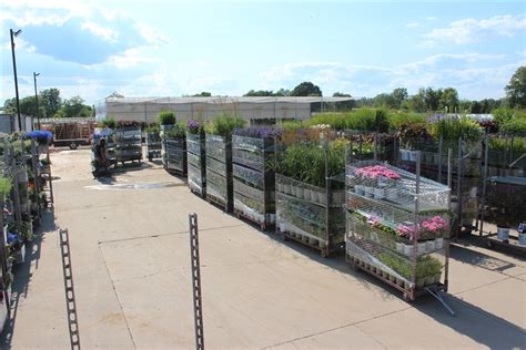 Maple Leaf Nurseries
