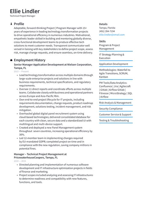 Technical Project Manager Resume Example And Writing Guide